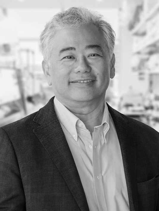 Noriyuki Kasahara, MD, PhD | 4DMT